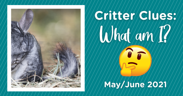 Resources - Kind News magazine