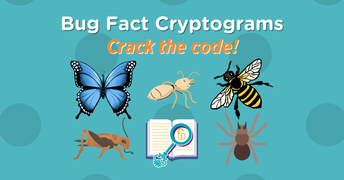 Resources - Kind News magazine