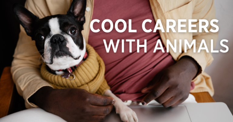 QUIZ: Which animal-themed career would be the best fit for you? - Kind ...