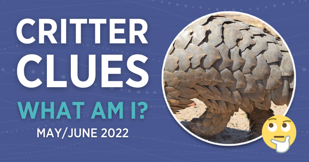 Resources - Kind News magazine