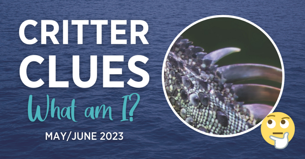 Resources - Kind News magazine