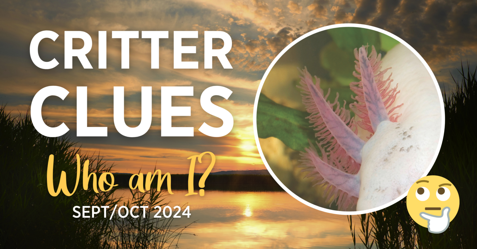 Resources - Kind News magazine