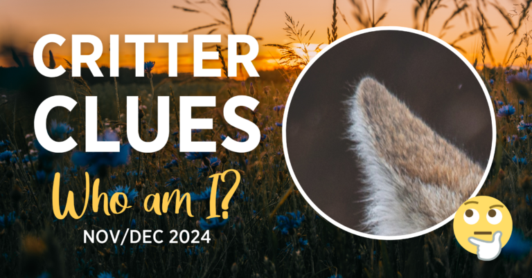 Resources - Kind News magazine