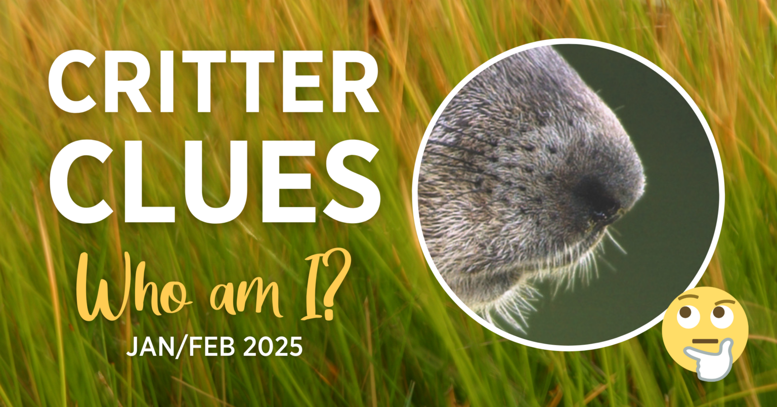 Resources - Kind News magazine