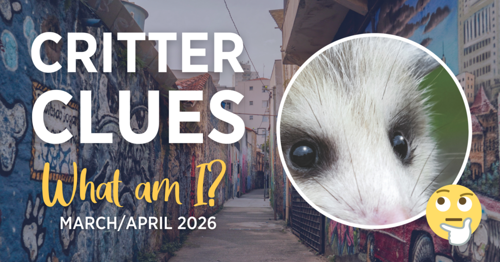 Critter Clues: March/April 2026 issue - Kind News magazine